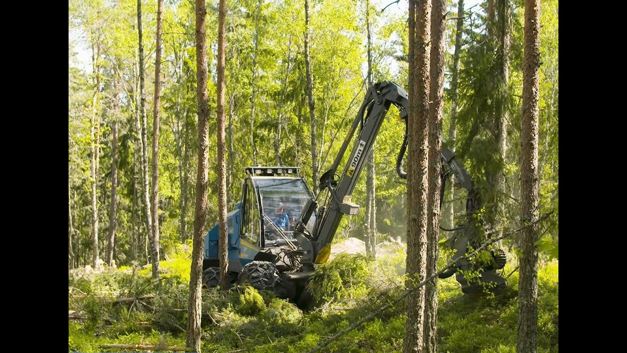 ROTTNE H8: Market-leading harvester for stand operating thinning - YouTube