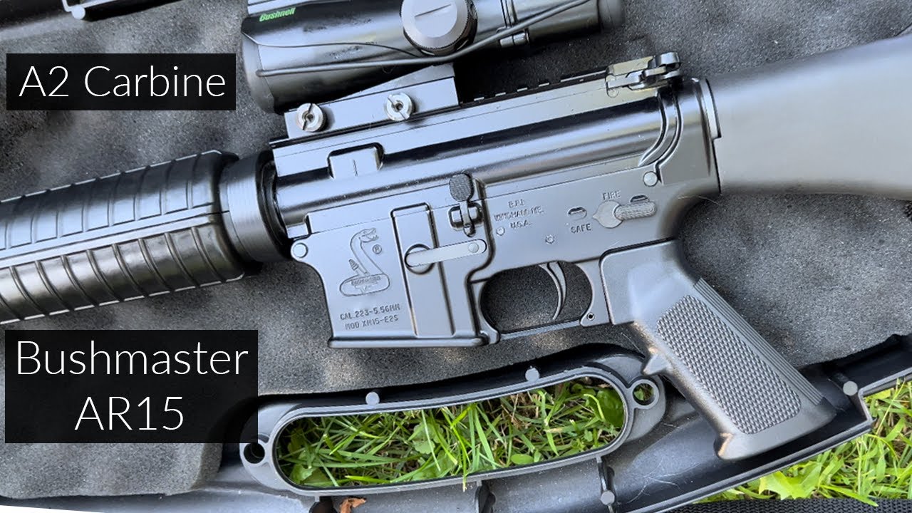 Just Throw the Whole Gun Away | Bushmaster AR15 A2 Carbine - YouTube