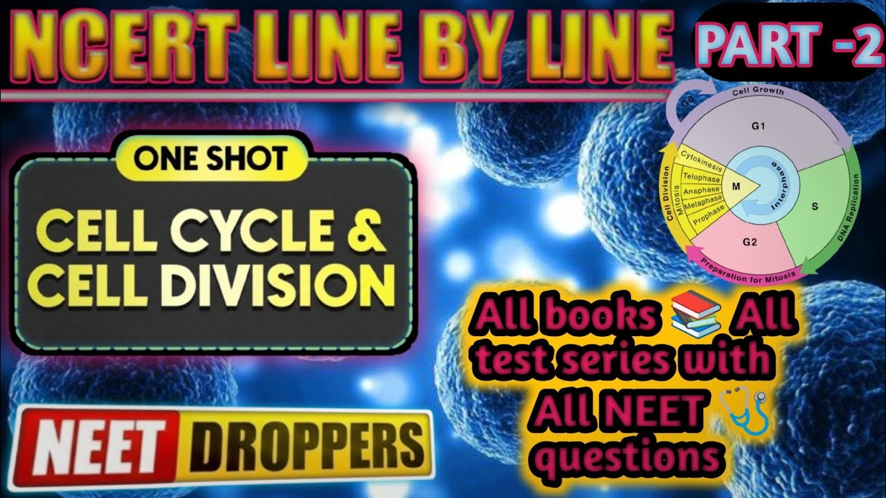 Cell Cycle & Cell Division FULL CHAPTER|| NCERT Line by Line || - YouTube
