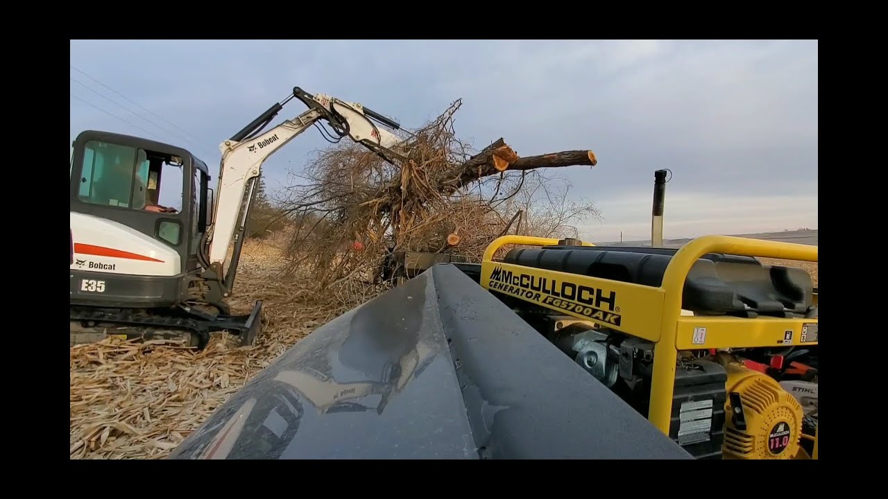 #9 firewood cutting : Clearing fence line trees part 1 - YouTube