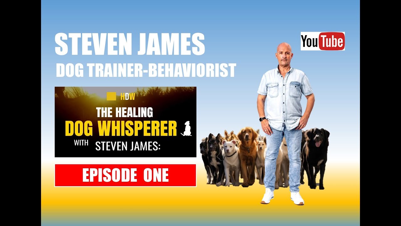 Steven James Dog Trainer-Behaviorist. THE HEALING DOG WHISPERER FULL ...