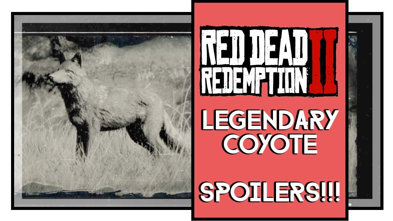 Red Dead Redemption 2 Legendary Coyote Location [SPOILERS] - YouTube