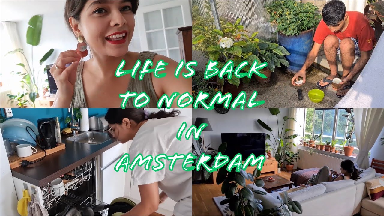Vlog| Life is Back to Normal in Amsterdam - YouTube