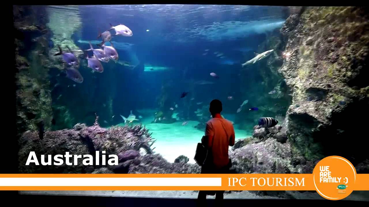 IPC - Australia - YouTube