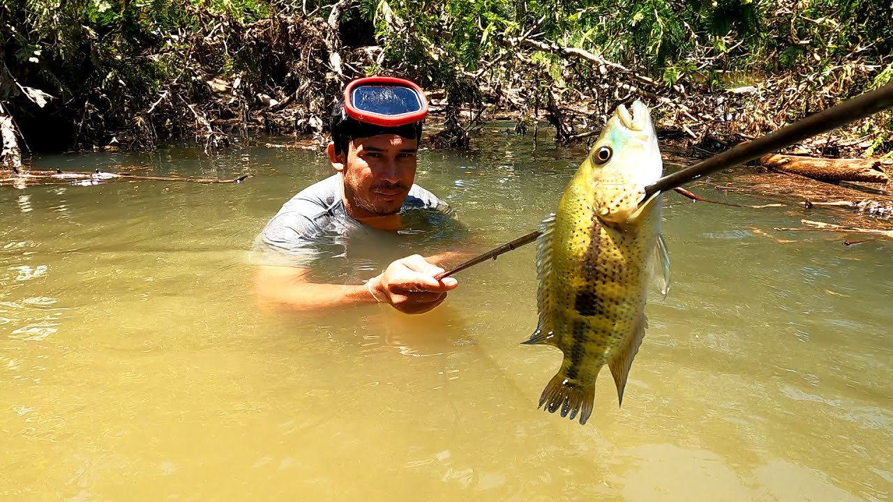 PESCA DE GUAPOTES CON VARILLA! YA CASI ESTA ES HORA DE LA COMIDA - YouTube