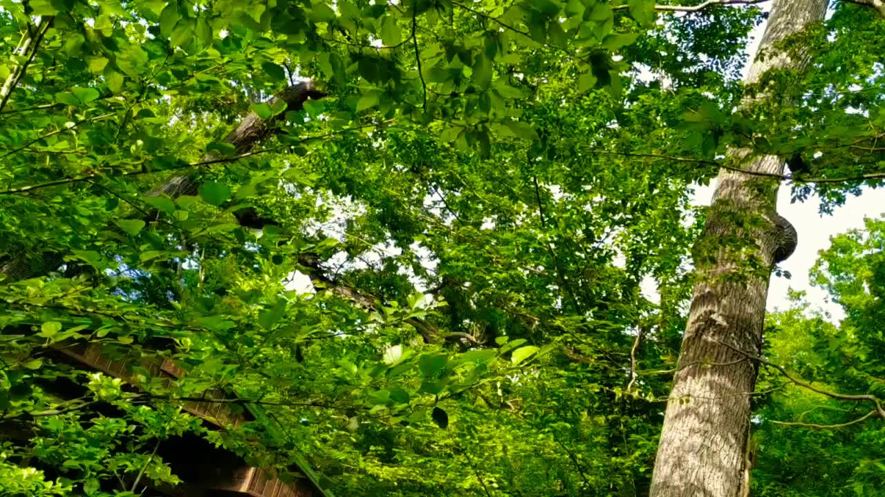 Fontan Nabran Ailəvi Restoran 2019 - YouTube