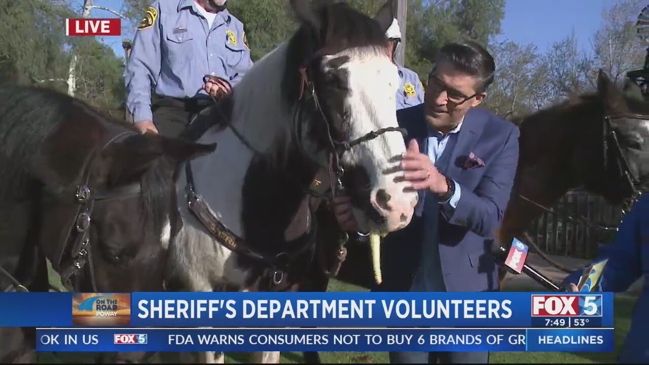 Poway Sheriff's Department Volunteers and Mounted Unit - YouTube