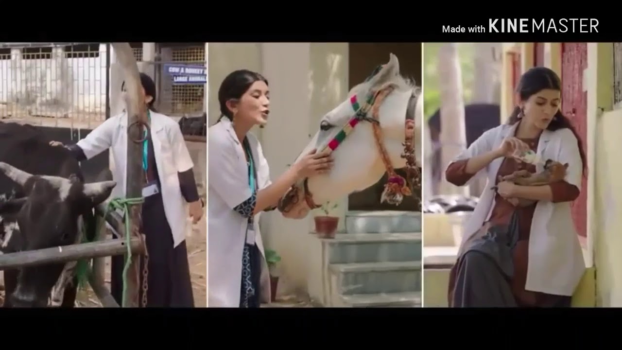 Pankhi re full video song | Sharato lagu movie song - YouTube
