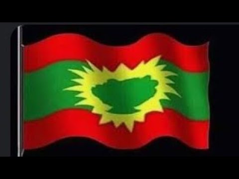 Faaruu Alaabaa Oromo Kan Namuu Sammutti qabatuu qabu itti Dhihadha ...