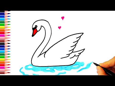 Kuğu Çizimi - Kolay Çizimler - Kuğu Resmi Nasıl Çizilir?