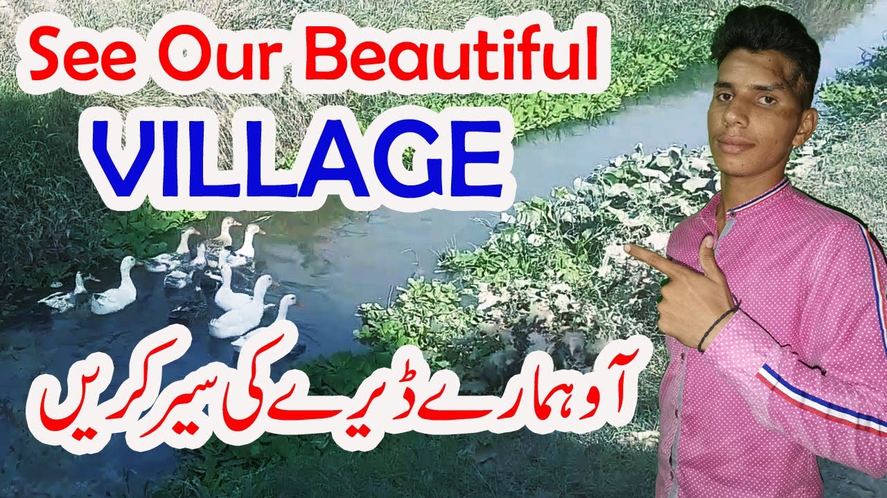 Visit to My Dera | Beautiful flowers | Beautiful Ducks # Visitdera # ...