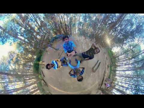 Ooty Video Pine Trees | with Friends | Video Editing Drone Editing