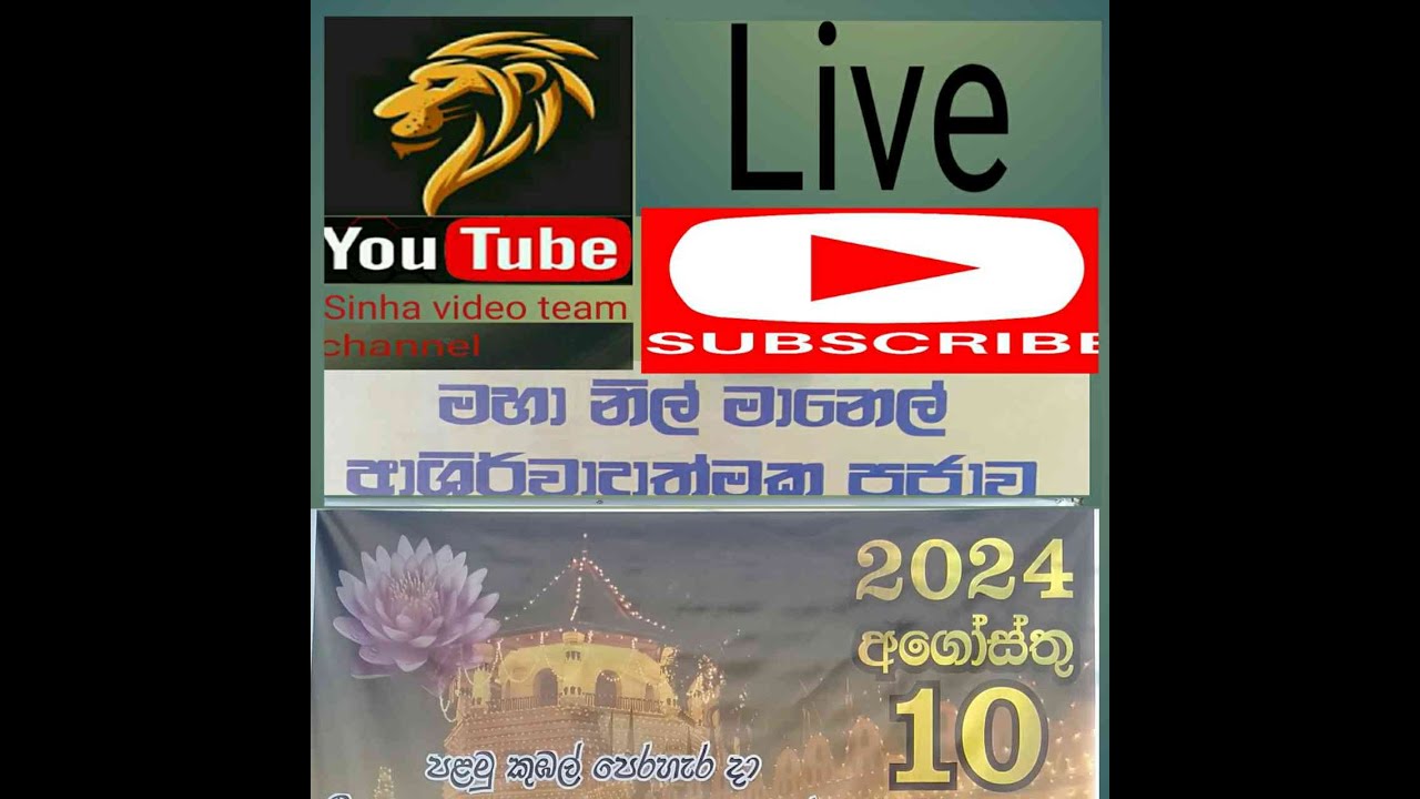 📱 My Live Stream - YouTube