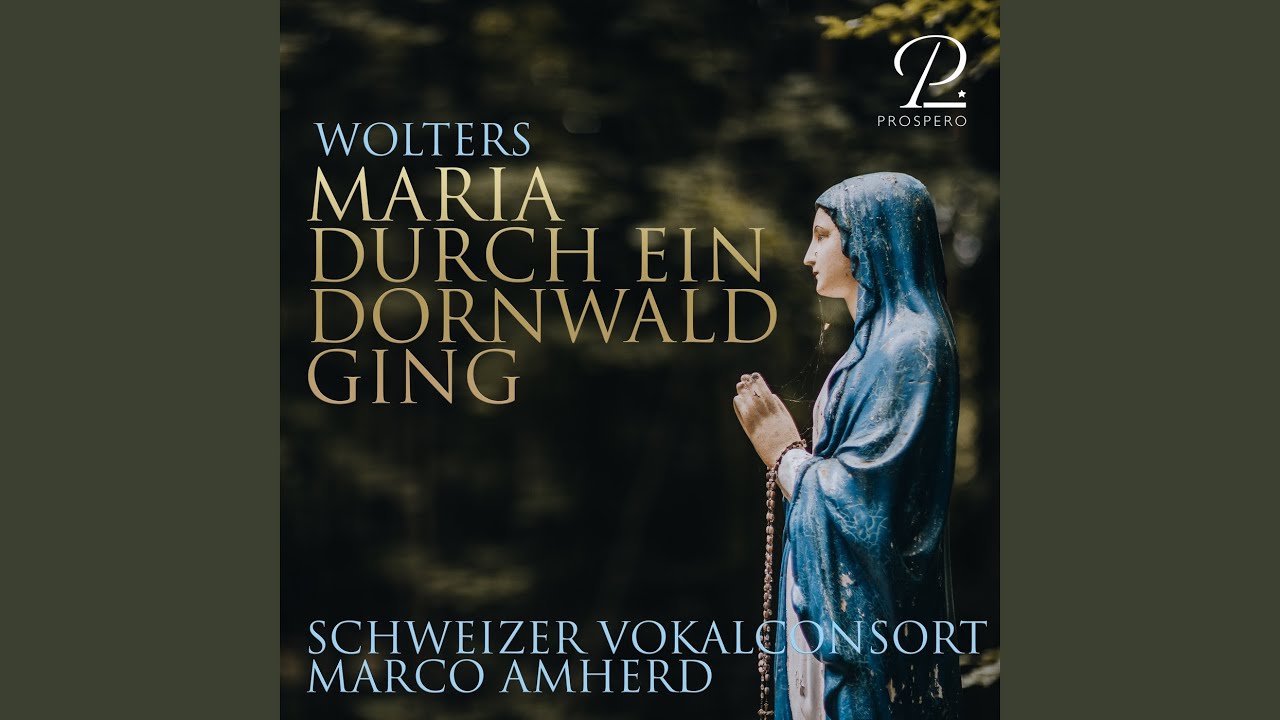 Maria durch ein Dornwald ging - YouTube