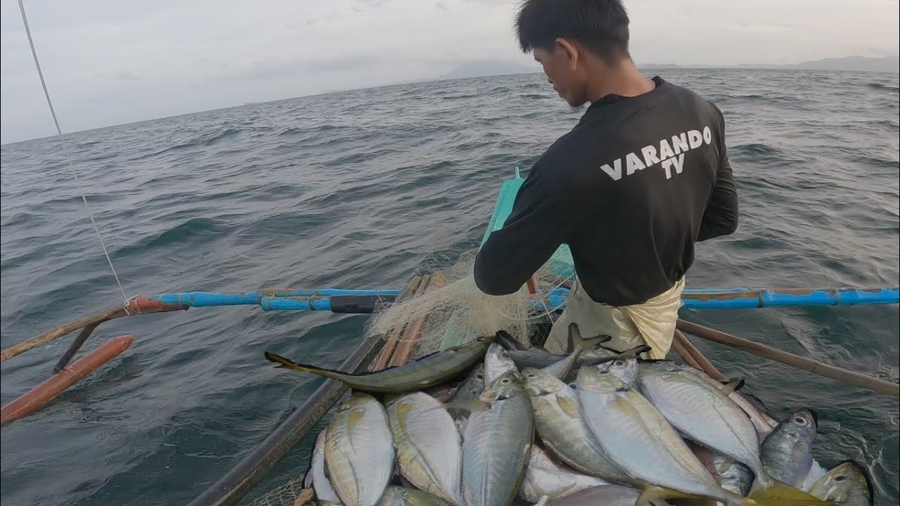 lakas ng amihan kalapato filipino traditional fishing using net varando ...