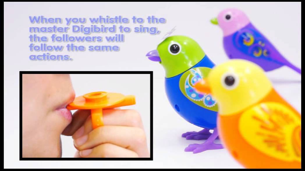 全新知音鳥系列 All new Digi Birds - YouTube