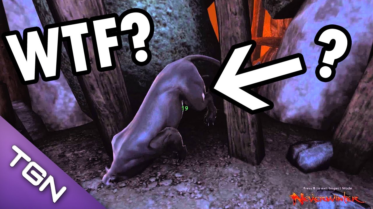 D&D Neverwinter: WTF is my pet doing? - YouTube
