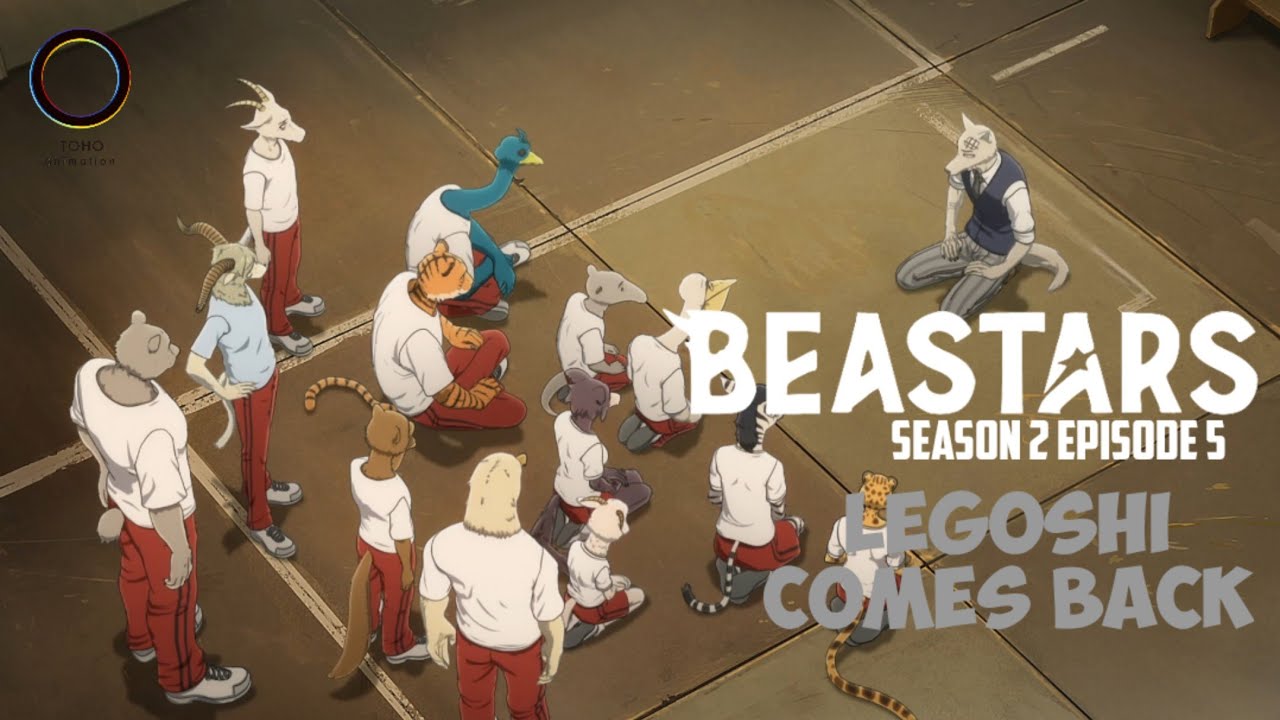 Legoshi comes back | BEASTARS Season 2 Episode 5 - YouTube