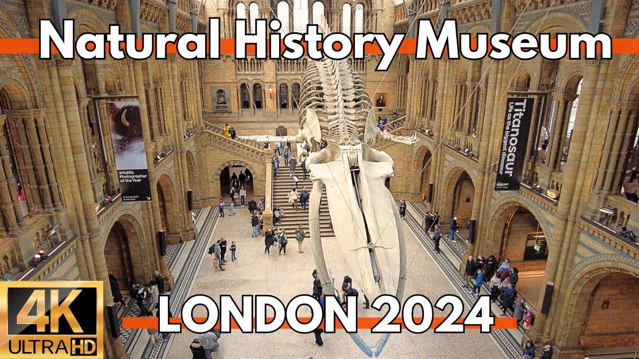 London 2024 Inside Natural History Museum 4K Walking Tour Video ULTRA ...