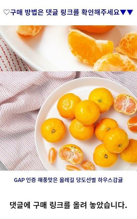 GAP 인증 해풍맞은 올레길 당도선별 하우스감귤, 1.5kg, 1개 가성비 꿀맛 #shorts 내돈내산video - YouTube