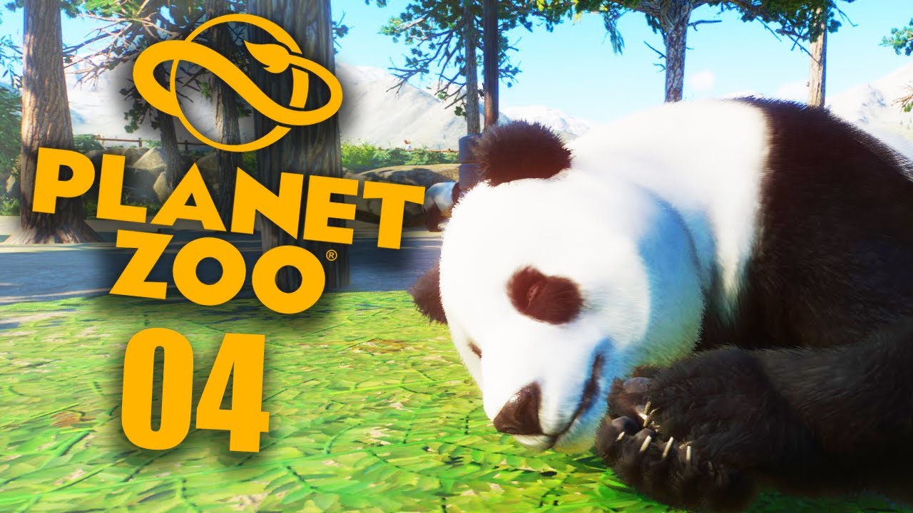 Un ÉNORME ENCLOS pour les PANDAS #04- Planet Zoo, Let's Play Découverte ! - YouTube