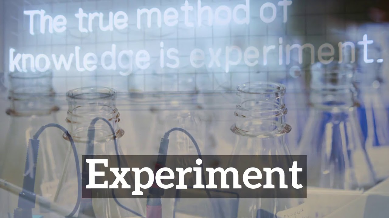 What Is Experiment How To Say Experiment In English How Does What Is Experiment How To Say Experiment In English How Does
