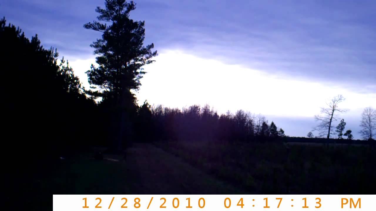 Whitetail Neck Shot Big Buck Hunting Club 12/27/10 - YouTube