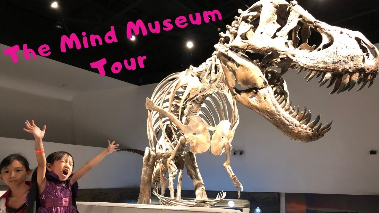 The Mind Museum BGC Full Tour - YouTube
