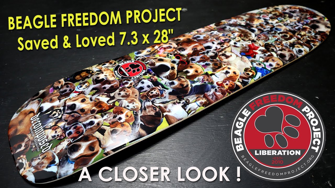 BEAGLE FREEDOM PROJECT - a closer look collaboration skateboard ...