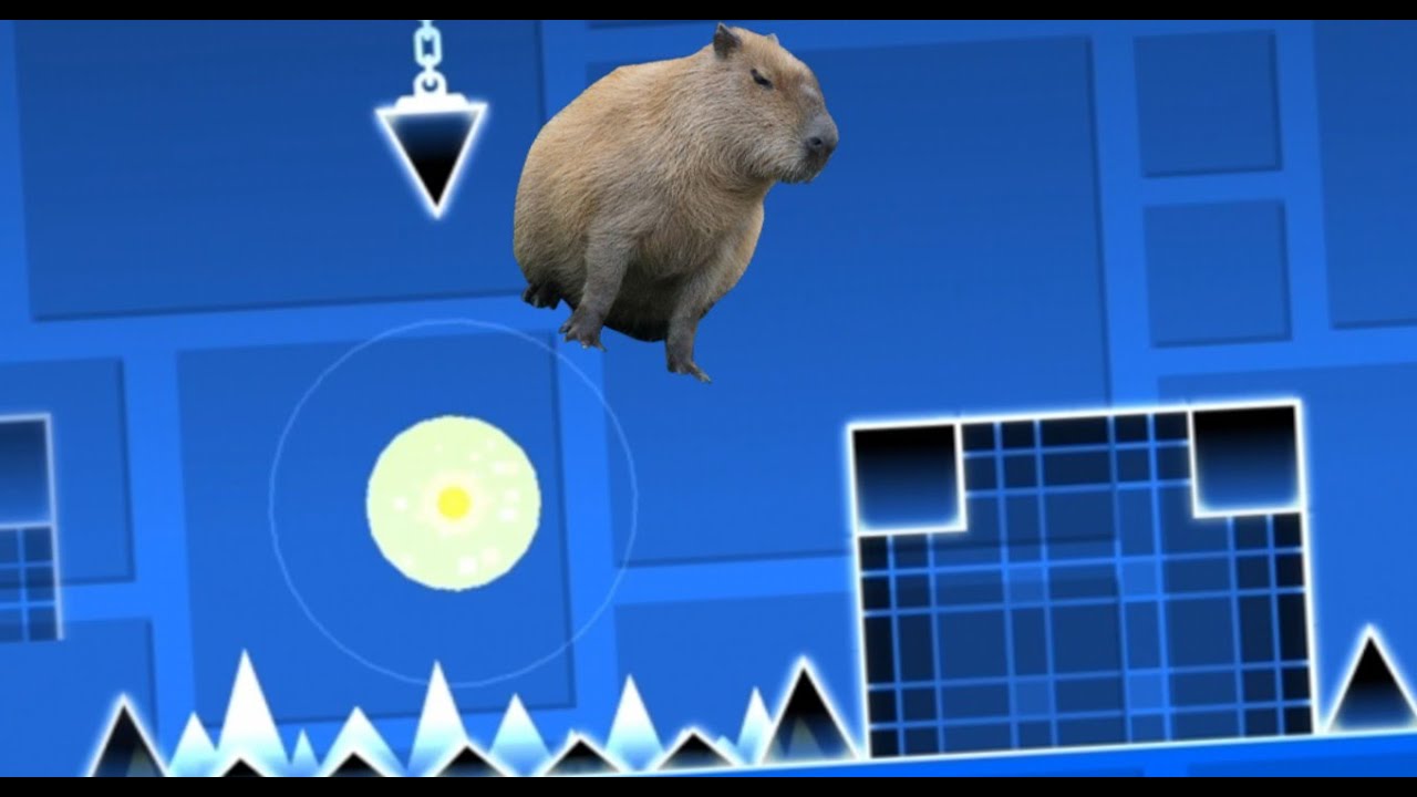 CAPYBARA MODE | LAYOUT - YouTube