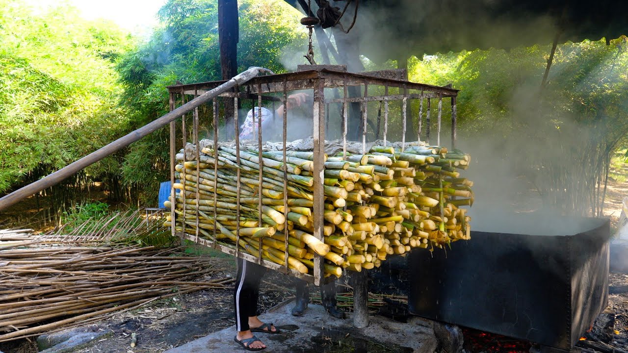 The Process of Boiling Bamboo Shoots - Thai Street Food - YouTube