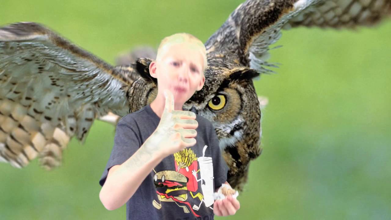 Owl Barf Ball Cookies - YouTube