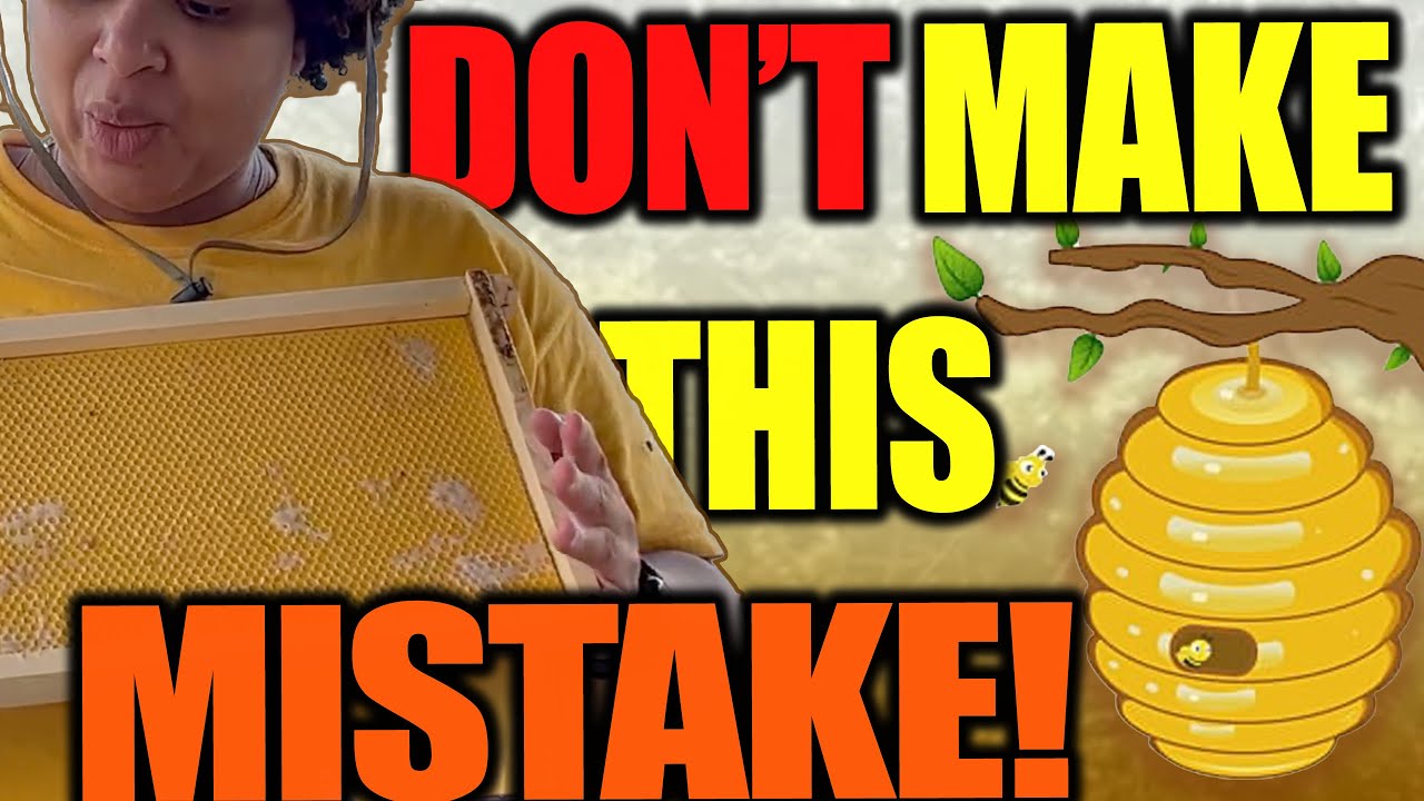 BEES HATE THIS! Dont make THIS mistake with your BEEHIVE! - YouTube