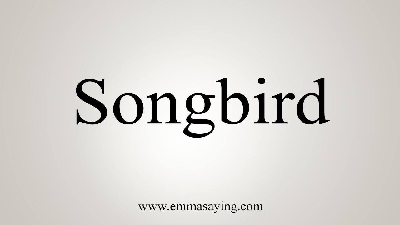 How To Say Songbird - YouTube