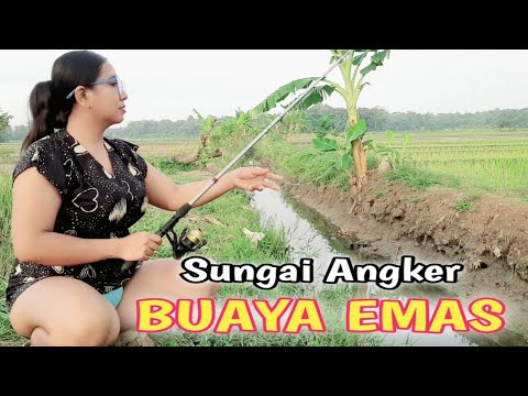 Mancing di sungai kecil sawah pedesaan di temani pemandangan yang indah