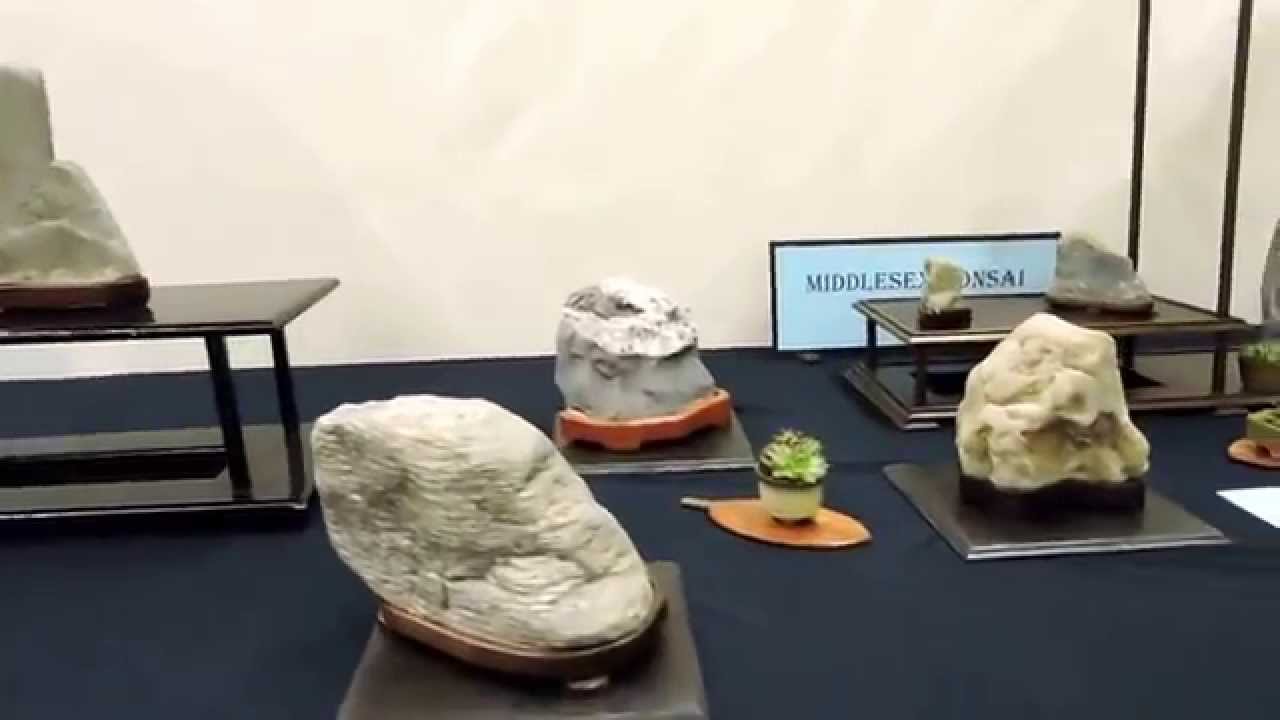 British Suiseki Club Display at the World of Bonsai 2015 - YouTube