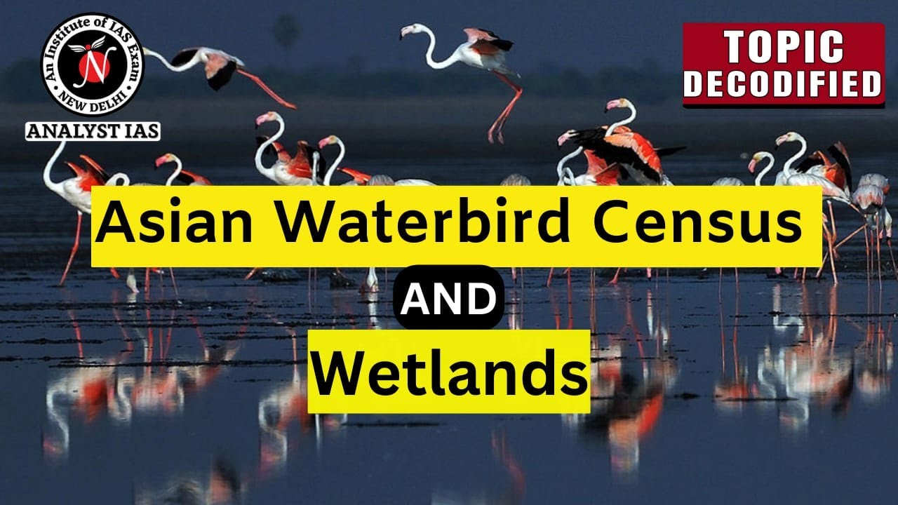 Asian Waterbird Census And Wetlands | Topic Decodified | UPSC | ANALYST ...