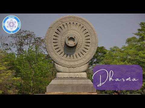 Dharma - YouTube