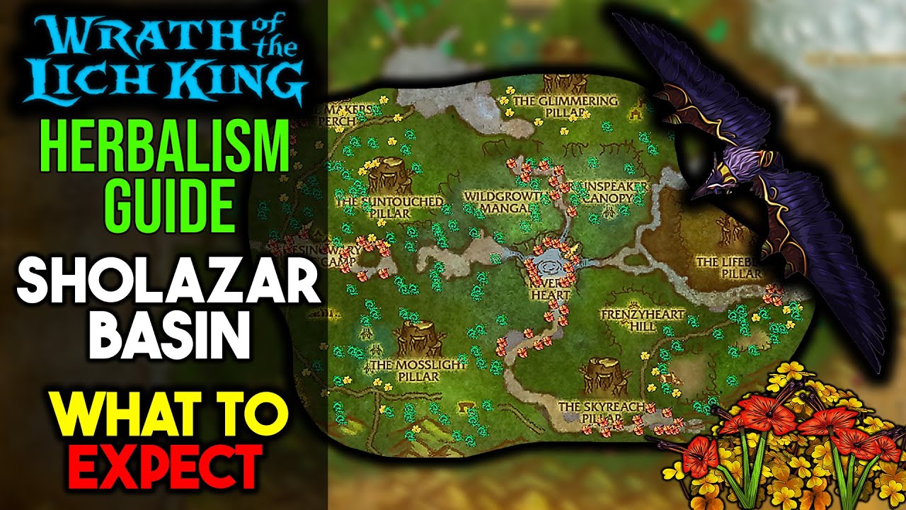 Herbalism Guide: Sholazar Basin | Wrath Classic WOTLK - YouTube