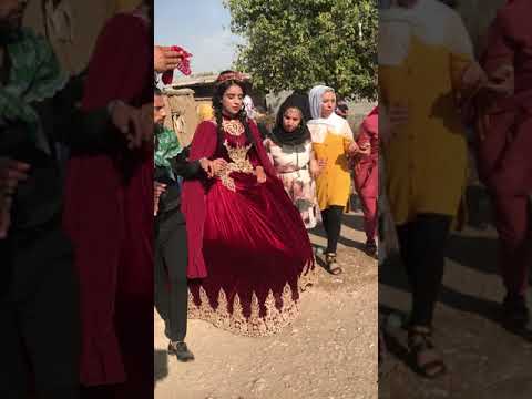13.10.2019 kına günü