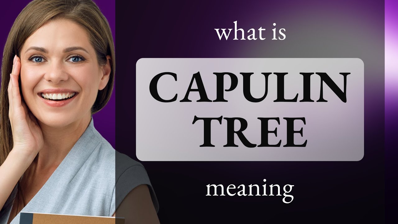Capulin tree | what is CAPULIN TREE definition - YouTube