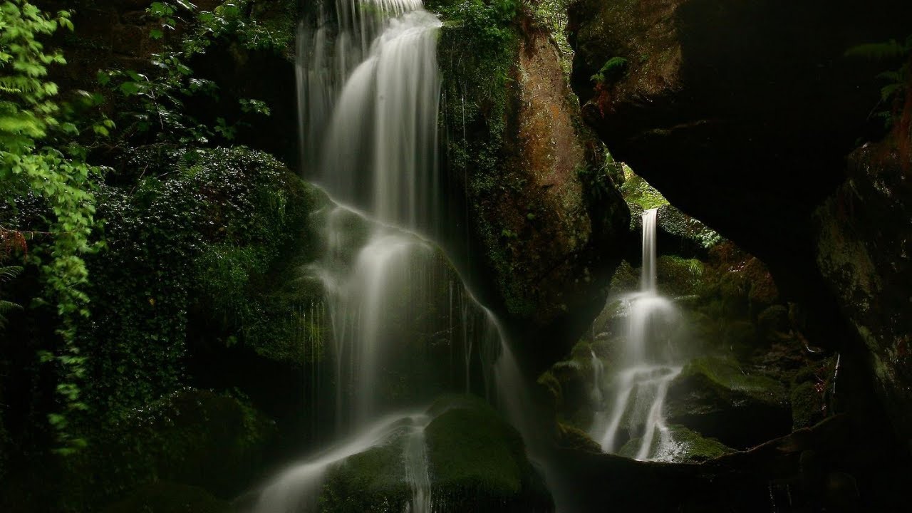 Calming Positive Energy Music Yoga Meditation Sleep Music - YouTube