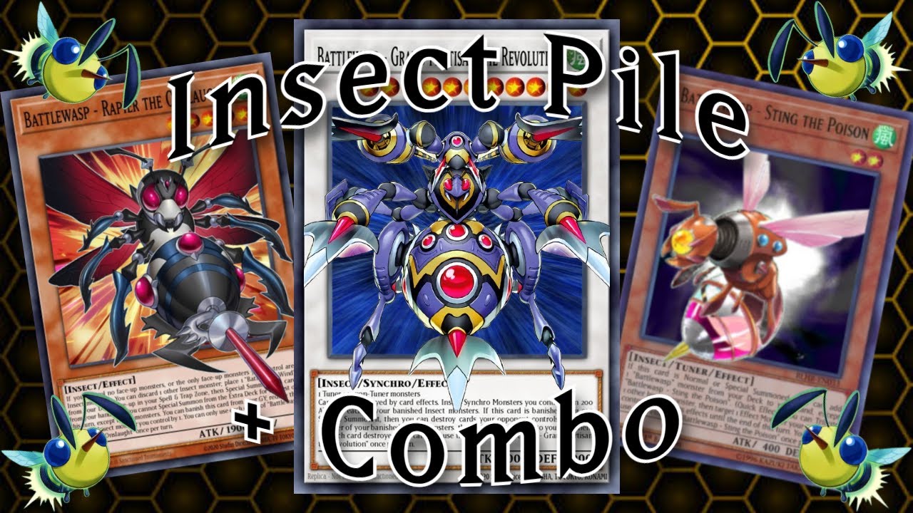 YU-GI-OH! INSECT PILE DECK PROFILE FEBRUARY 2025 - YouTube