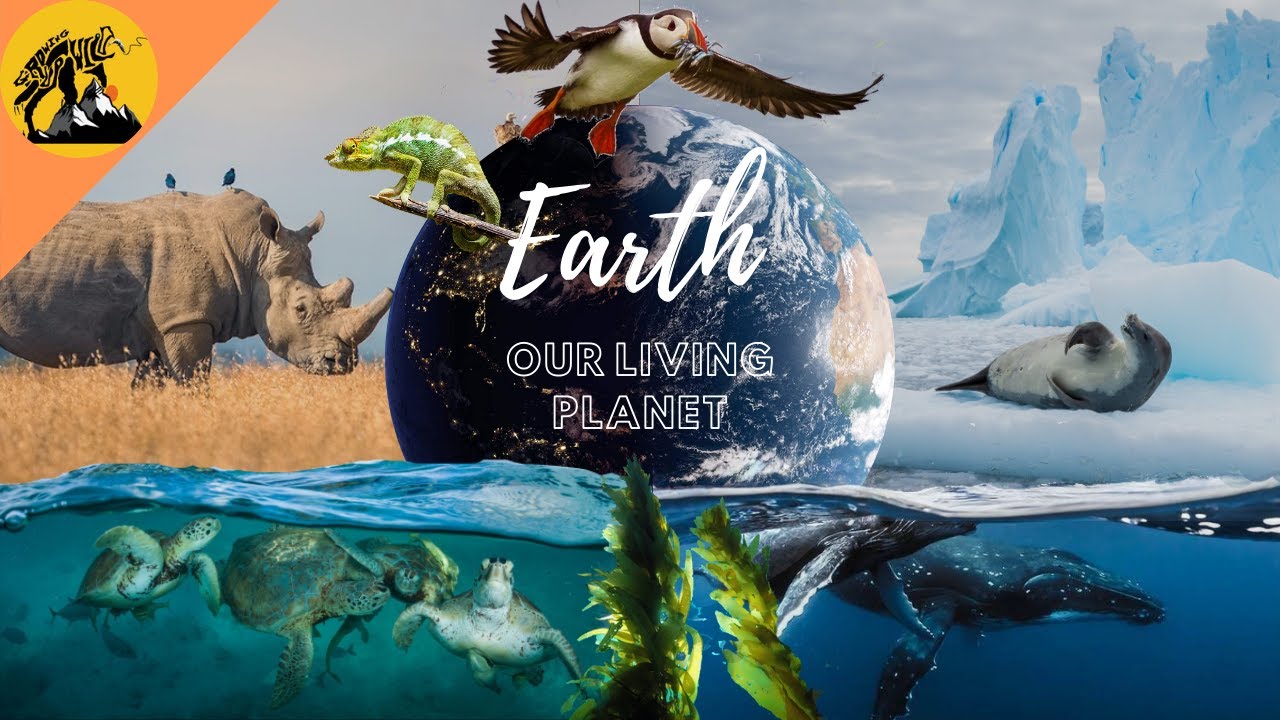 Earth: Our Living Planet Trailer - YouTube