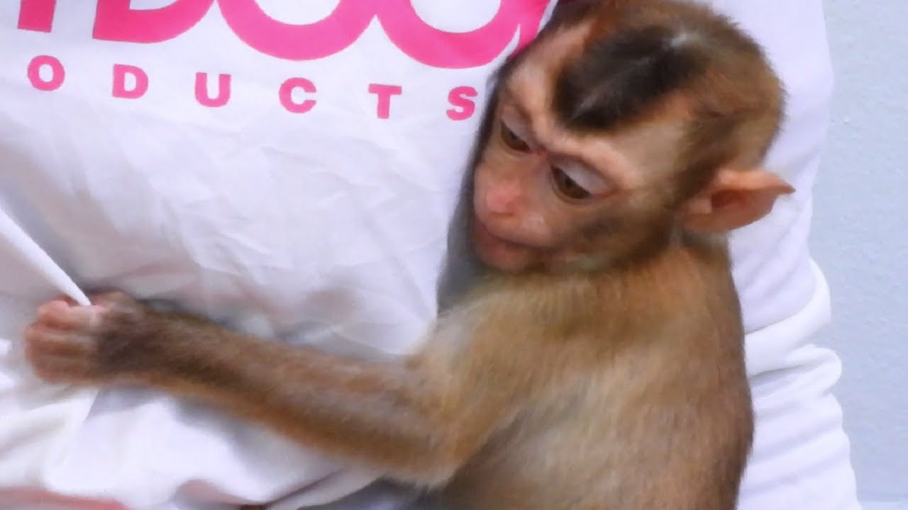 Do not know why today baby charly is not happy at all - YouTube