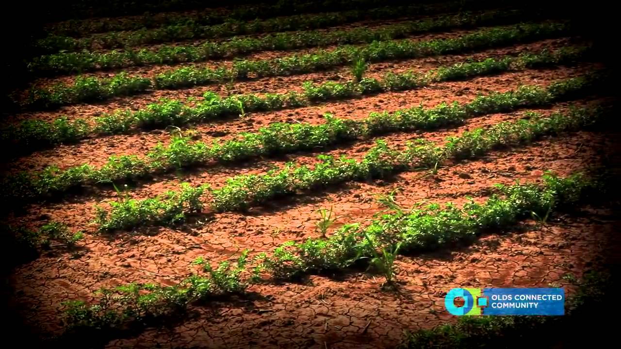 Champions+of+Technology+4+ +Ed+Amos HD - YouTube