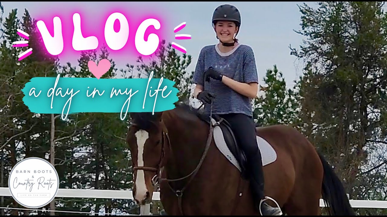 EQUESTRIAN VLOG | A Day in the Life - YouTube