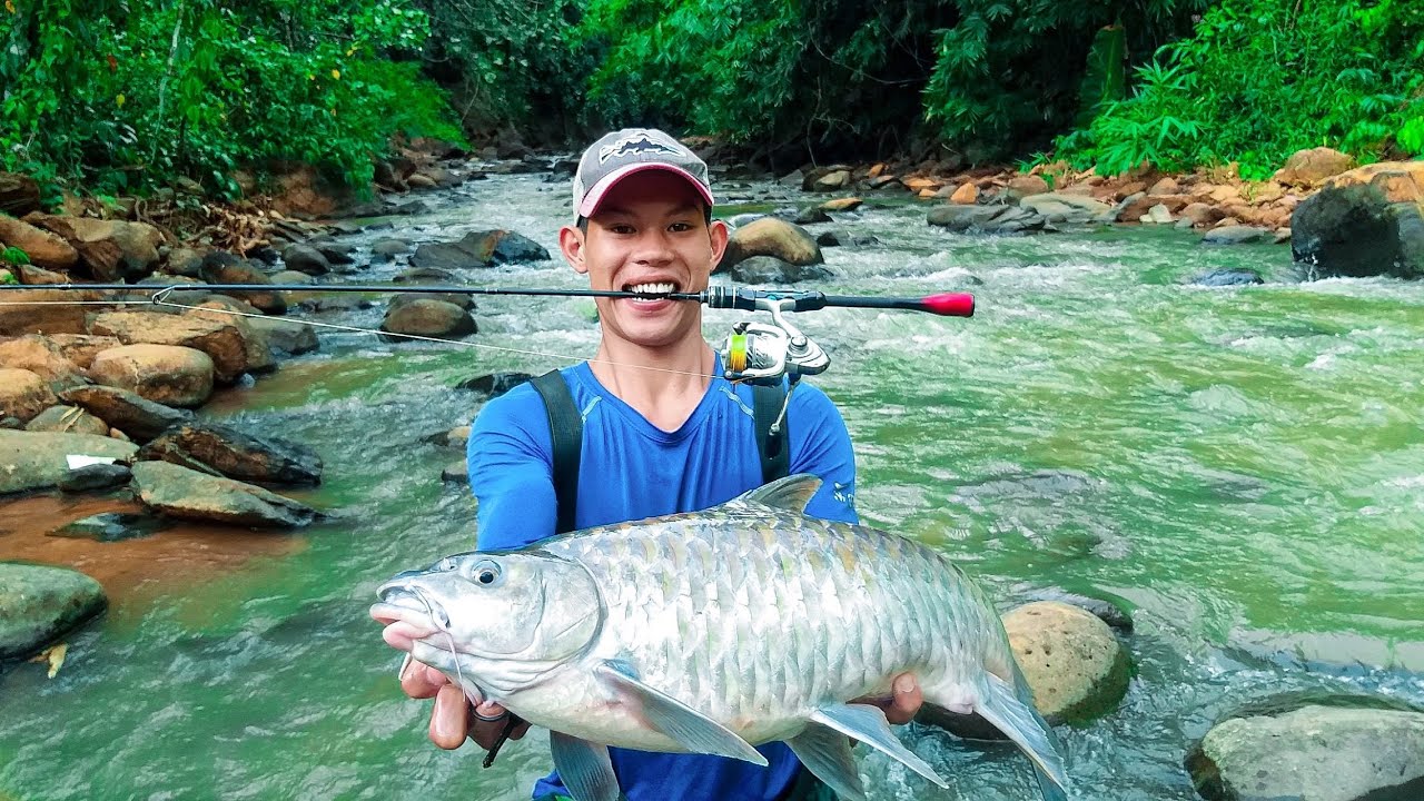 Thước phim 5 năm trước về loài cá Blue Mahseer tại Tây Nguyên (Việt Nam ...