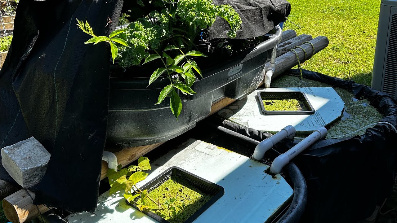 DIY - Backyard Pond, Adding a Soil Base - YouTube