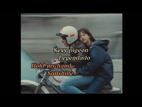 Sexy pigeon Hold my hand (Sunshine) Legendado + Lyrics